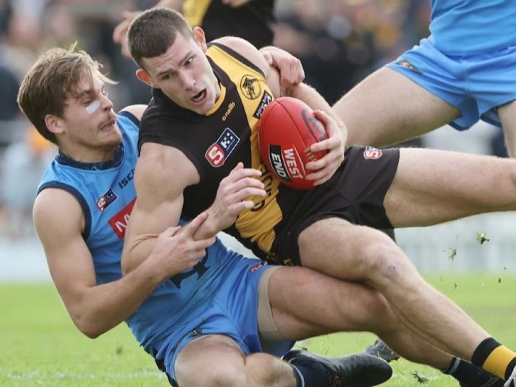 Footy fever takes Adelaide Metro with free travel to SANFL Grand Final ...